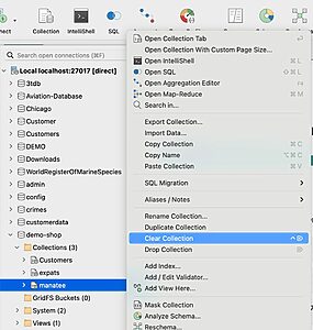 13 Most Common MongoDB Commands | Studio 3T