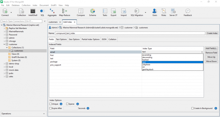 How to Create a MongoDB Index | Studio 3T