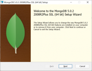 Windows 11: How to Install MongoDB with Studio 3T | Studio 3T